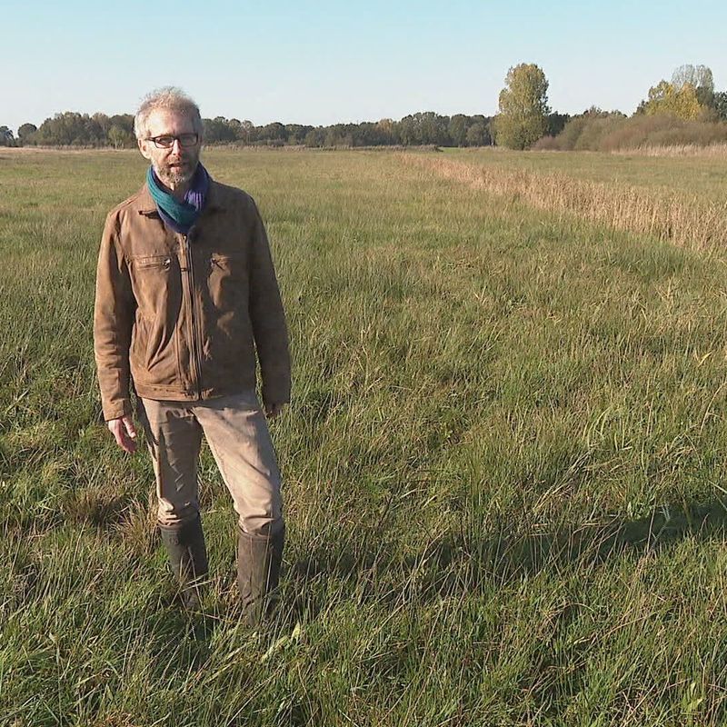 'Pitrus hoort bij de Drentsche Aa' - RTV Drenthe