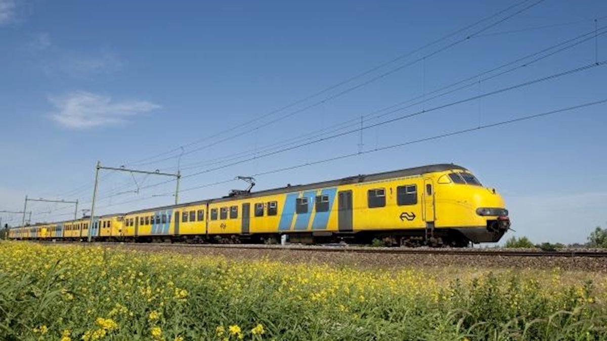 Trein Apekop maakt afscheidsronde door Nederland en stopt in Zwolle ...