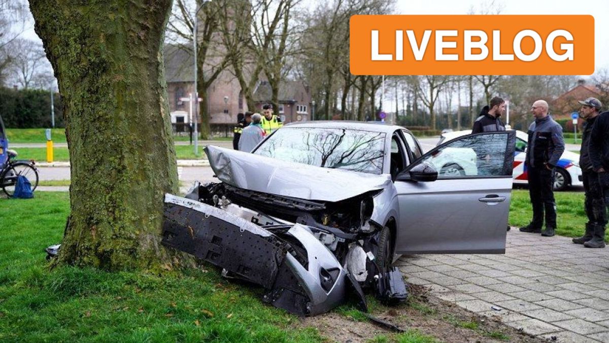 Auto rijdt tegen boom • jongen vermist - Omroep Gelderland