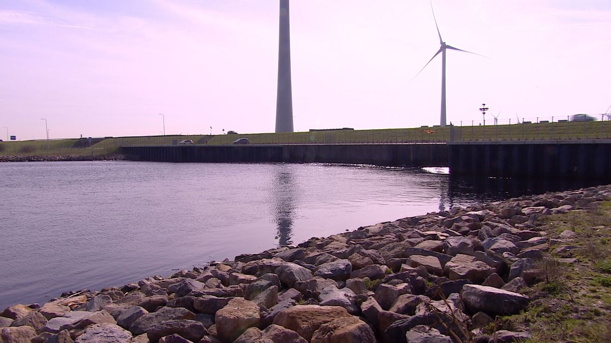 Dankzij de Grevelingendam op weg naar een groenere wereld - Omroep Zeeland
