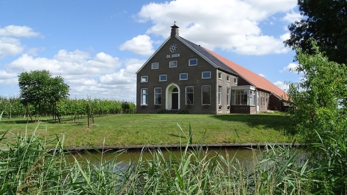 Oldambt maakt programma om historische boerderijen te behouden - RTV Noord