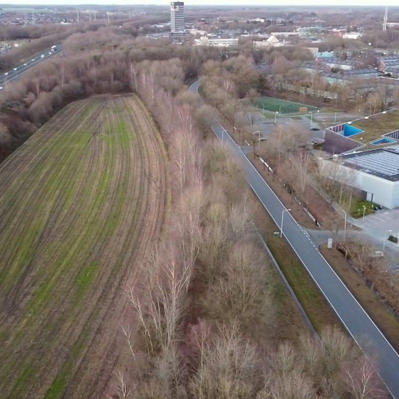 Tiny Houses in Assen op 'overhoekje' langs A28: 'Het had mooier gekund' - RTV Drenthe