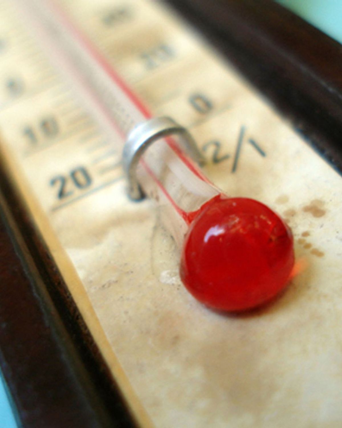 Heet, heter, heetst: met deze Koele Kaart weet je waar in Rotterdam je ...