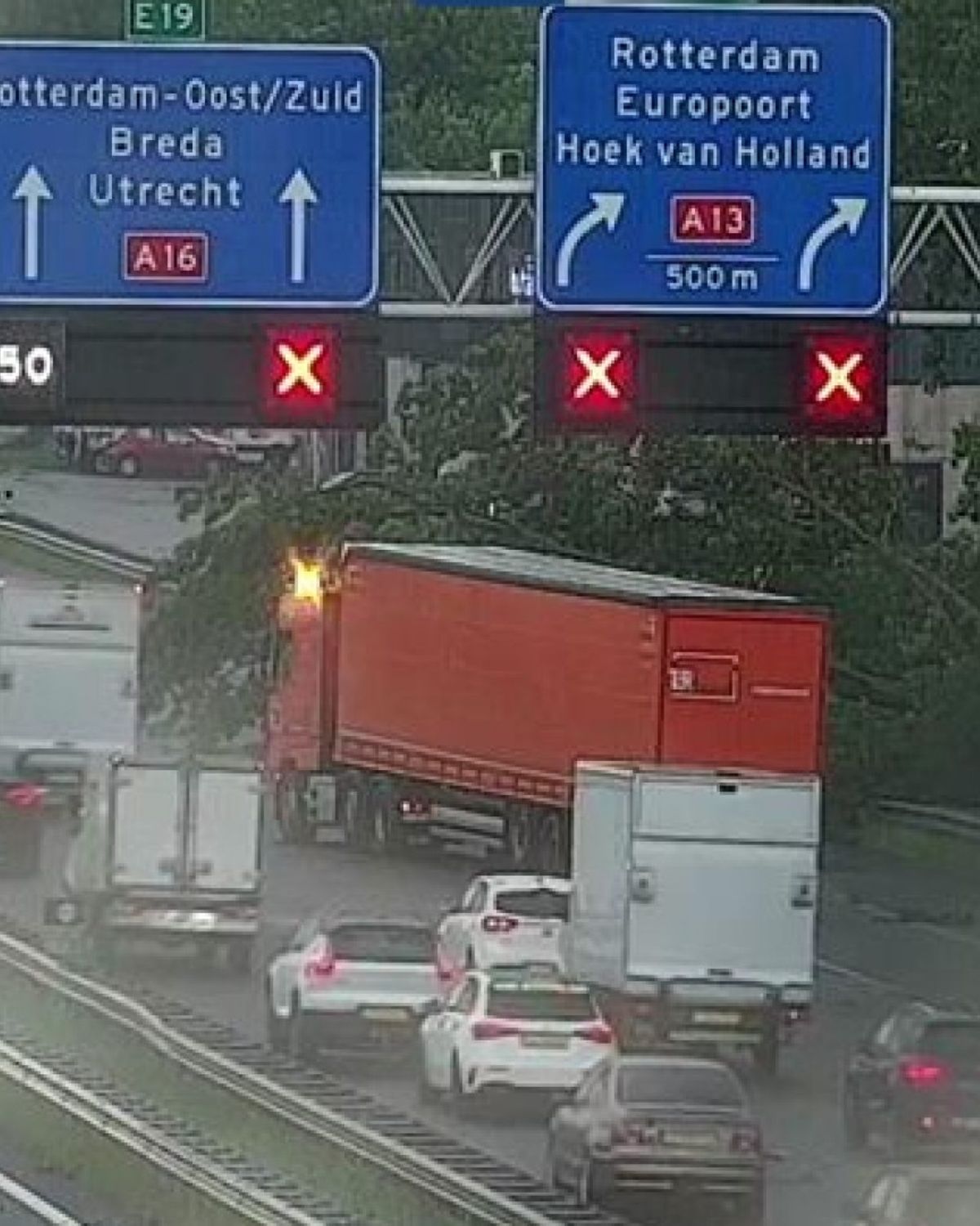 Boom en takken op de weg, veel vertraging - Omroep West