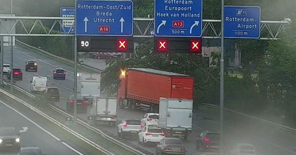 Boom en takken op de weg, veel vertraging - Omroep West