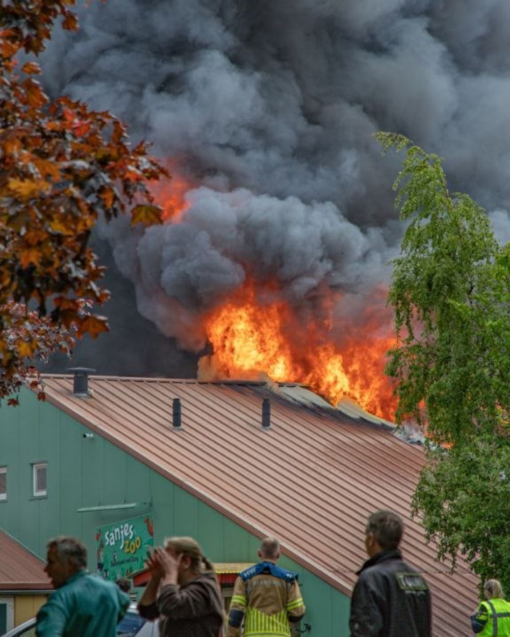 Meerdere beesten dood na grote brand SanjesZoo in Feanwâlden - Omrop ...