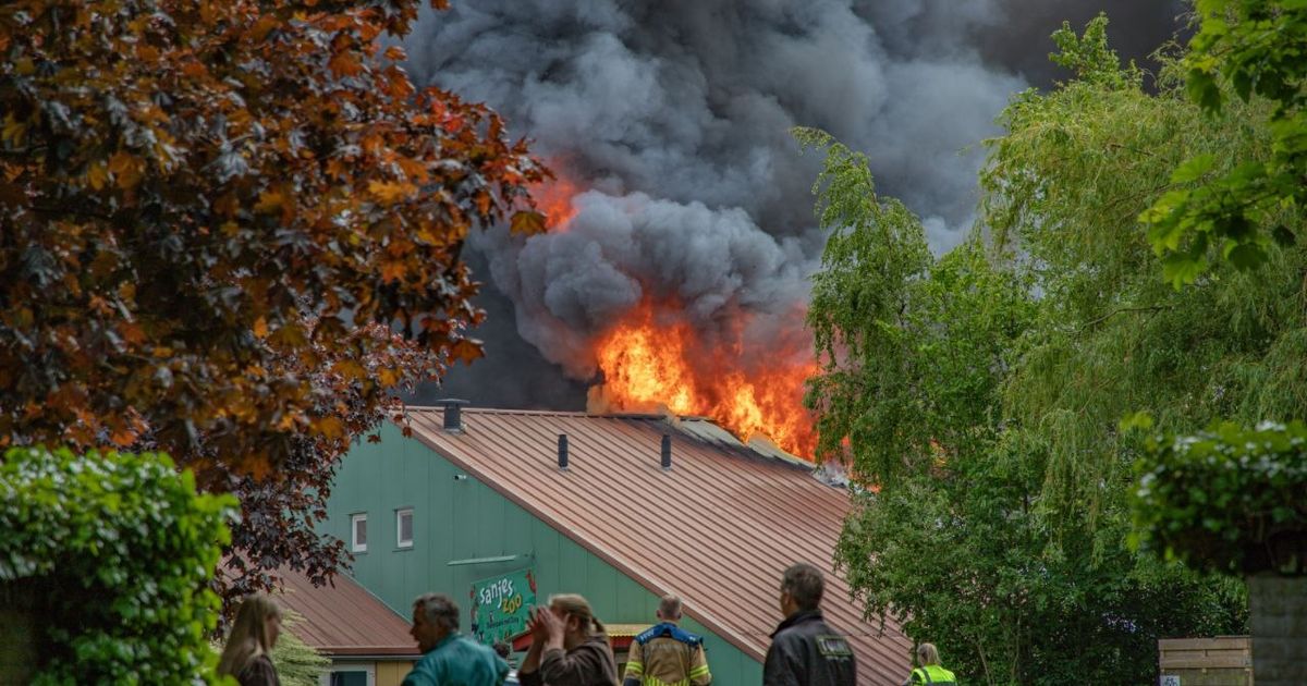 Meerdere beesten dood na grote brand SanjesZoo in Feanwâlden - Omrop ...
