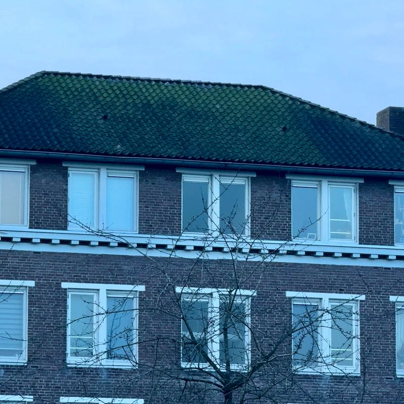 Buren schrikken van doodgestoken vrouw en zwaargewonde man in Gorinchem, 'stel had vaak ruzie ...