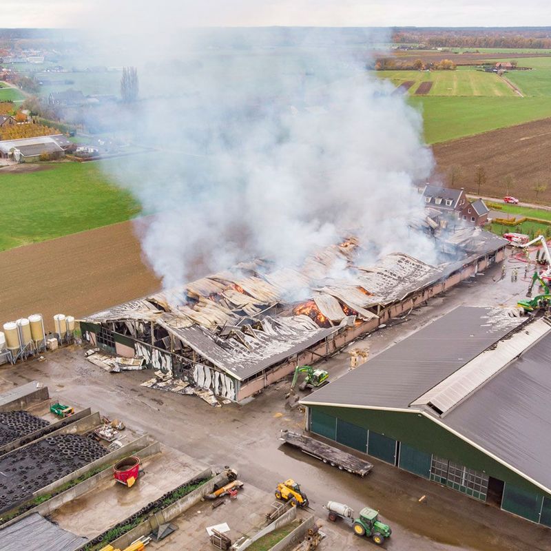 Nicht boer Gert: ingezameld geld in veilige handen - RTV Utrecht