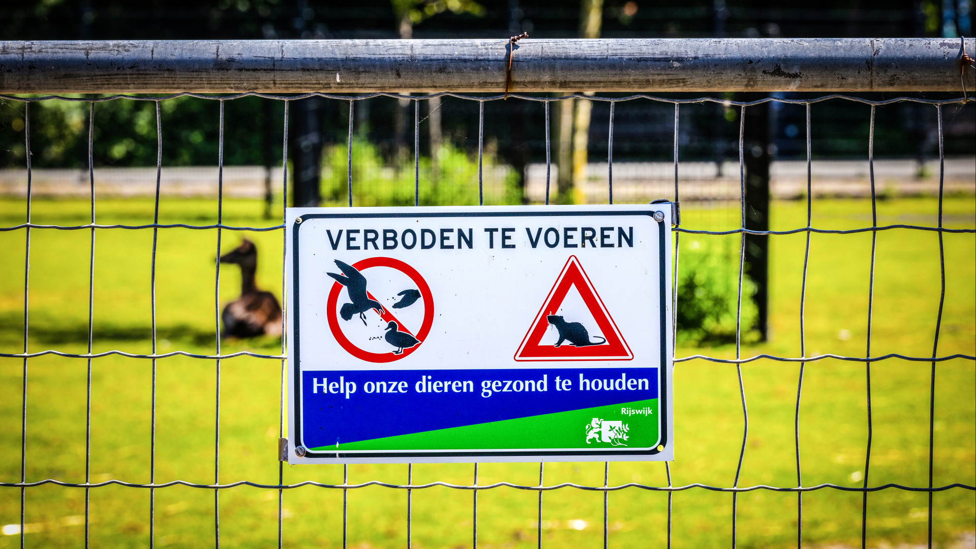 Dieren (slecht) eten voeren vanwege je geloof? Daar is nu een oplossing ...