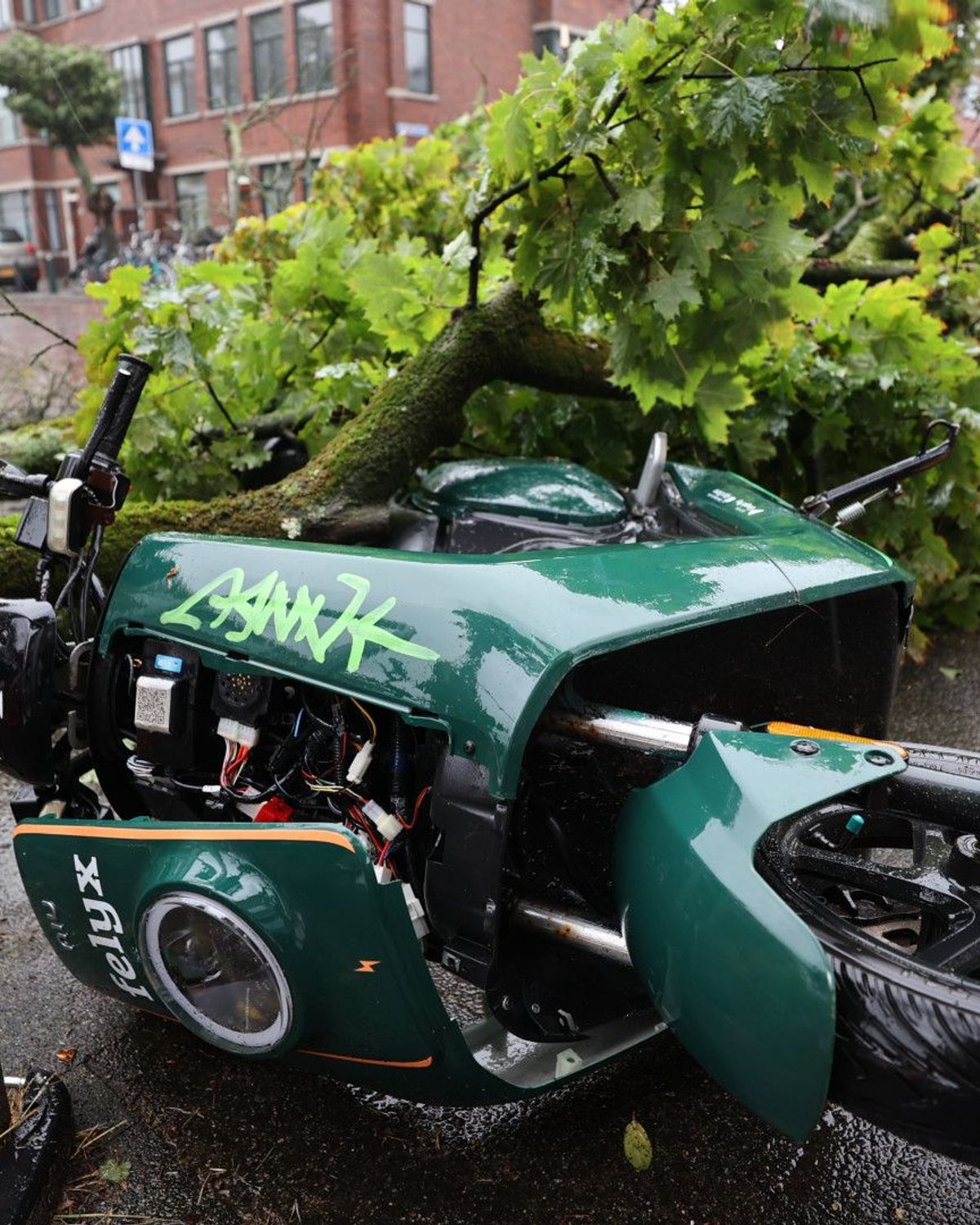 Schade na storm Poly valt mee, veel meldingen van omgevallen bomen ...
