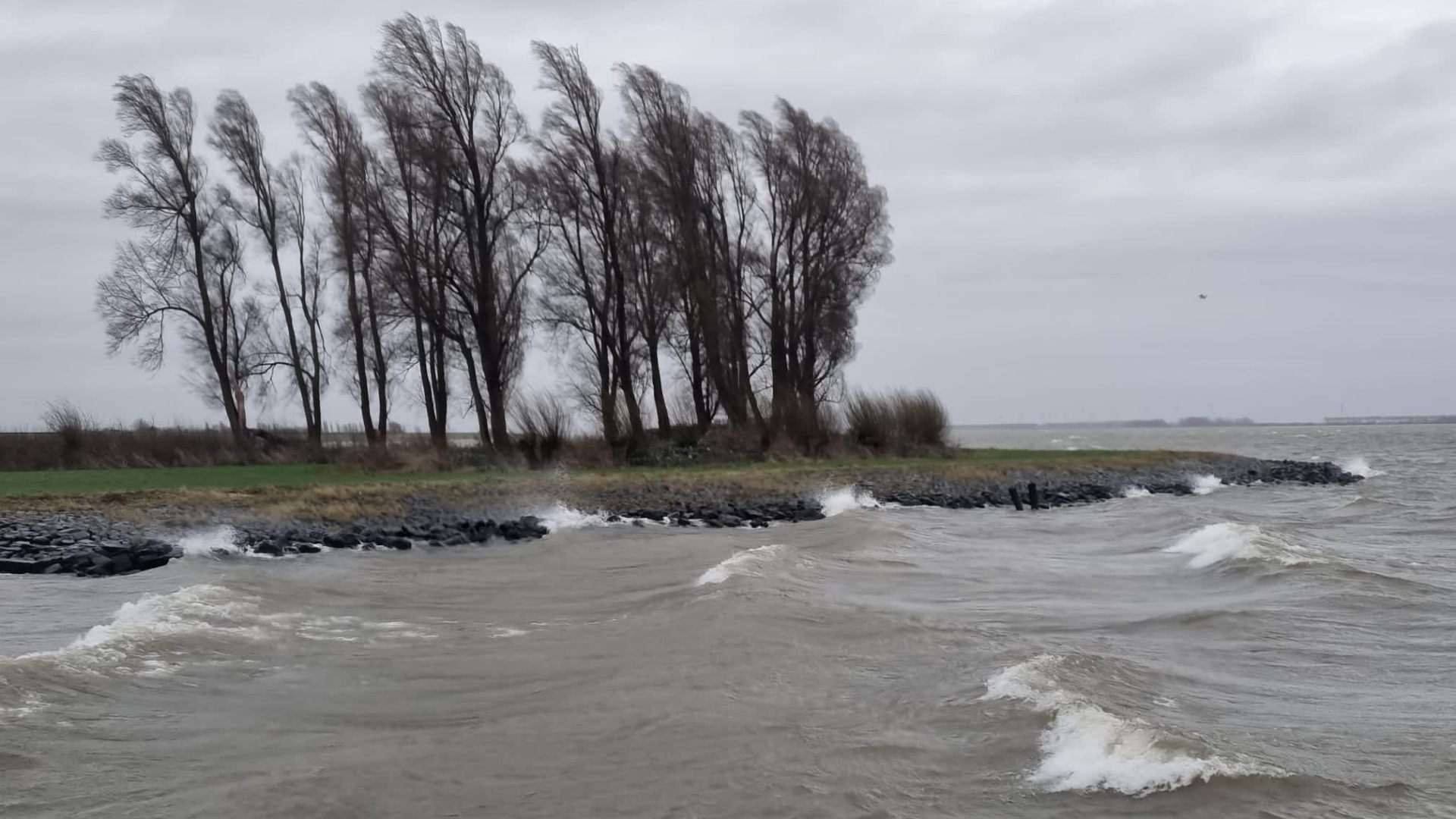 Hoogwater en harde windstoten in de regio door storm Pia - Rijnmond