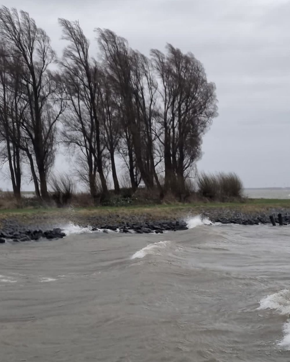 Regen en zware windstoten in aantocht: haal je parasol en tuinmeubels binnen - Rijnmond