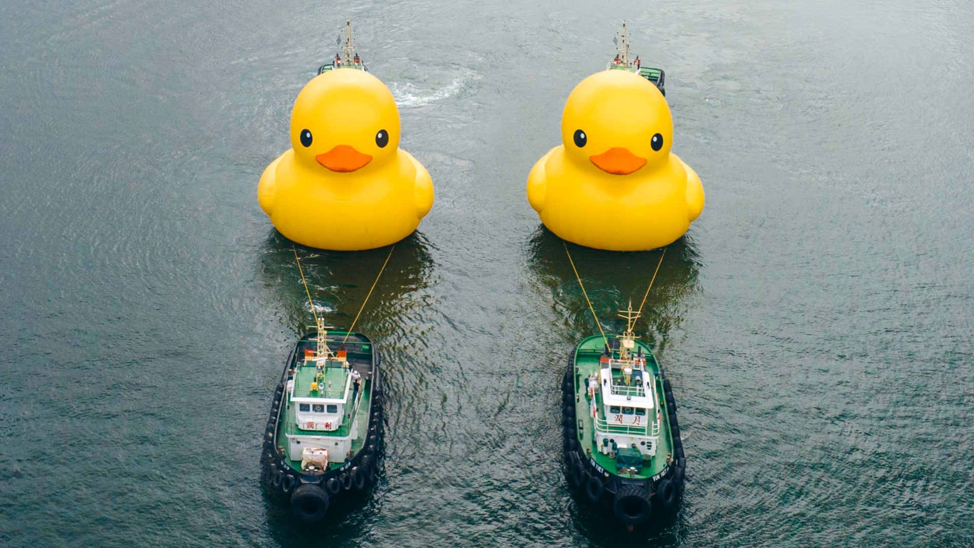 Rubberen eendje keert terug in Hongkong, 'maar niet in zijn eentje ...