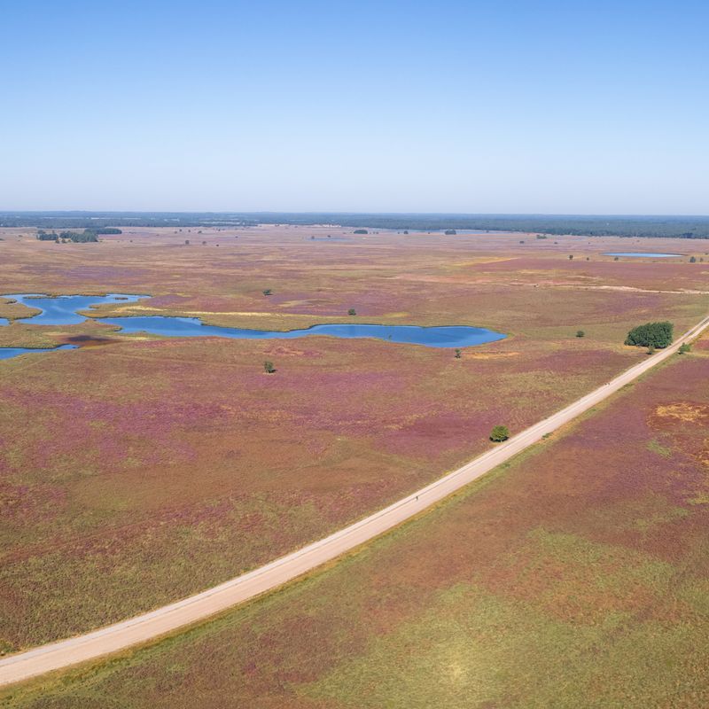 Stikstof in Dwingelderveld: Stikstofuitstoot van verkeer is in geen ...