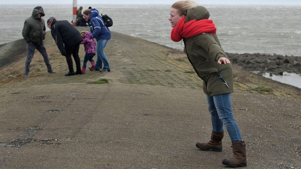 Onstuimige ochtend: 'Het is goed winderig' - RTV Noord