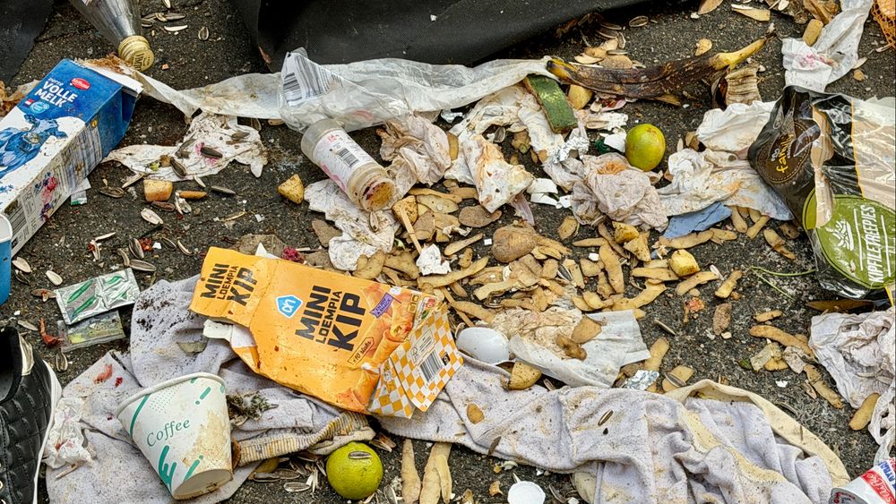 Nog steeds bende rond Haagse Markt: 'Er zijn hier meer meeuwen dan op ...