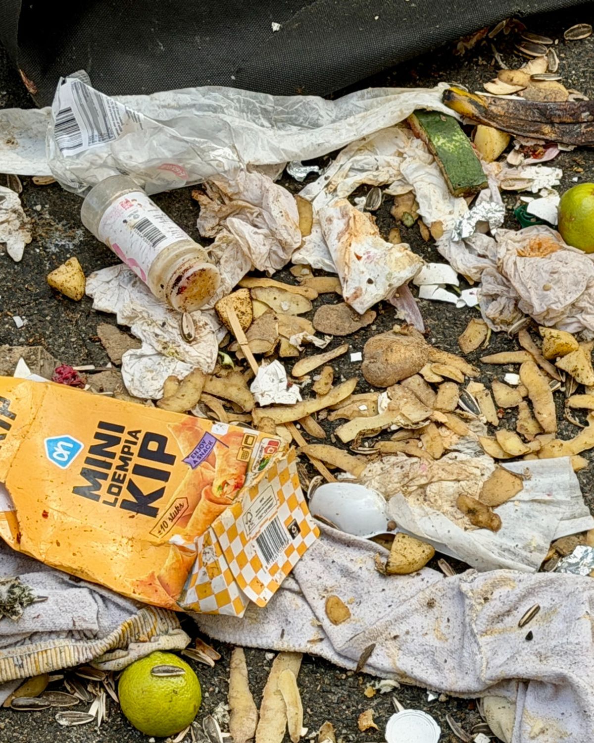 Nog steeds bende rond Haagse Markt: 'Er zijn hier meer meeuwen dan op ...