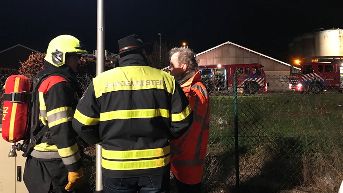 Alle varkens dood bij grote brand in varkensschuur Ammerzoden - Omroep ...