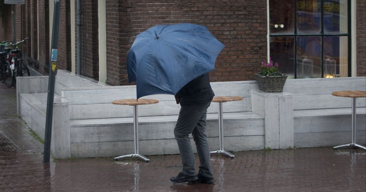 Storm Conall komt eraan, KNMI waarschuwt voor zware windstoten - Omroep Gelderland