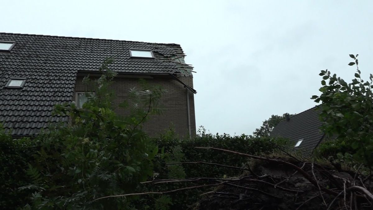 Boom in Meppel op huis beland - RTV Drenthe
