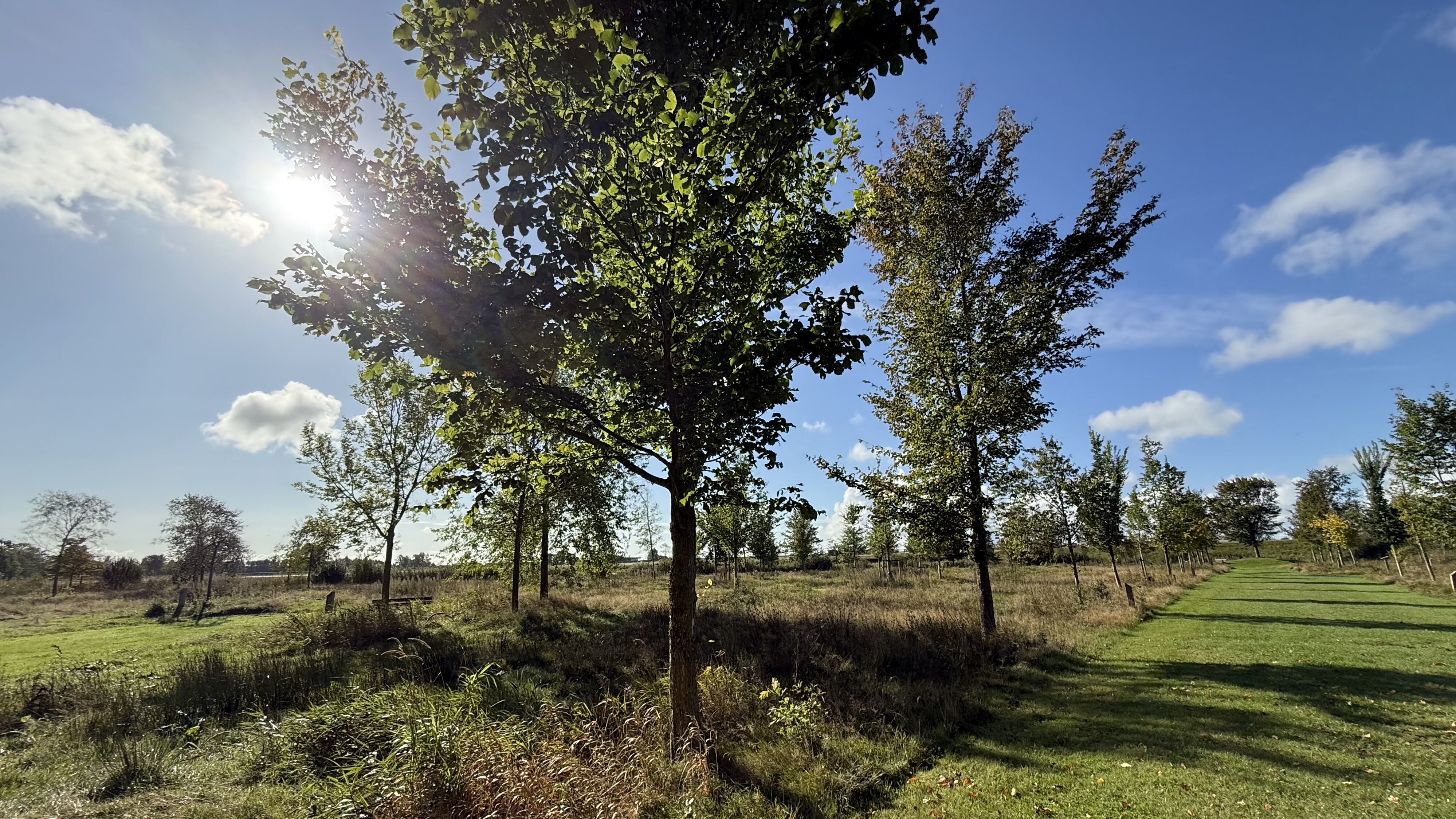 Erik de Groot verruilt functie van wethouder in Harlingen voor ...