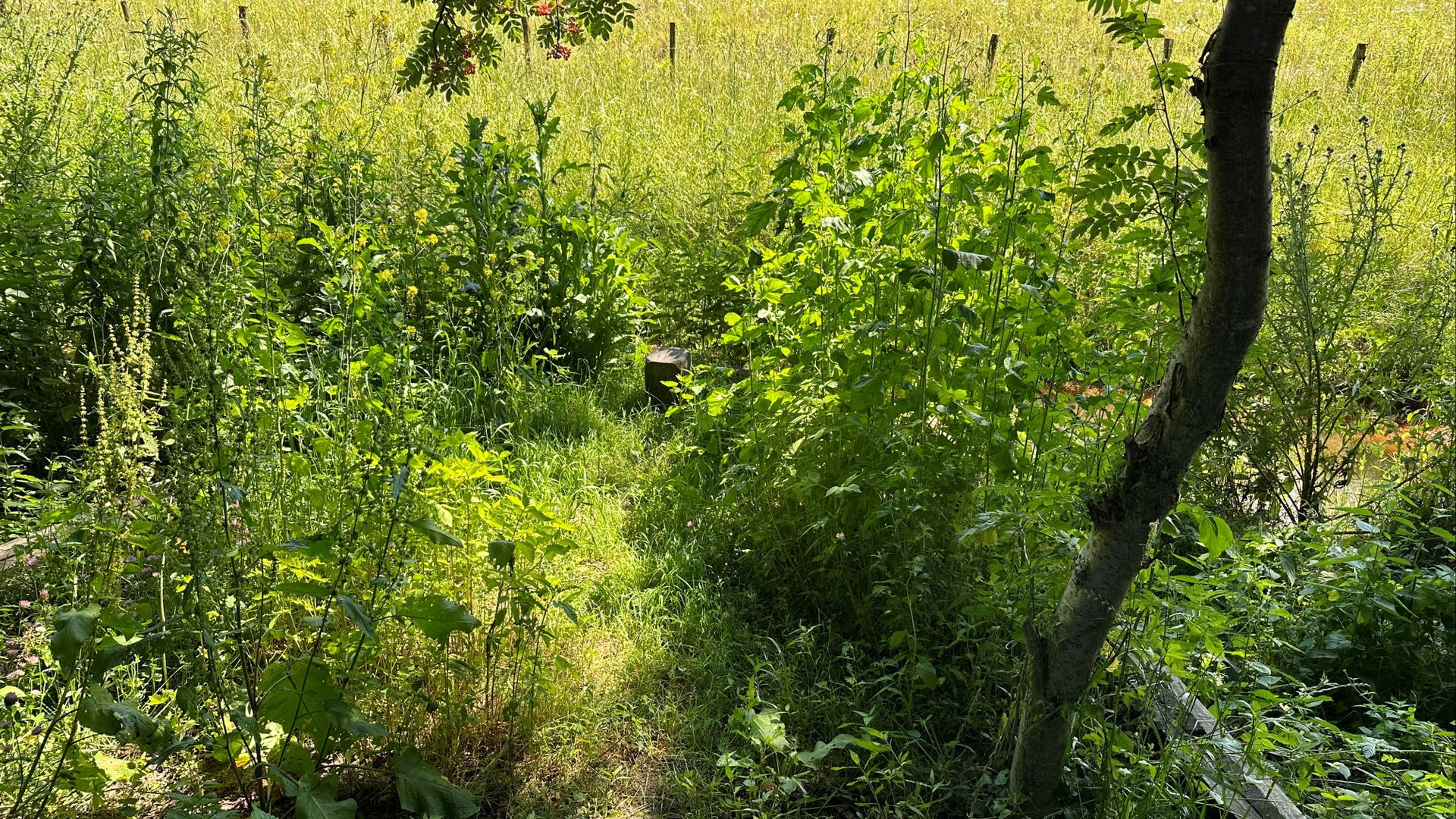 Effe buurten in Scherpenzeel: dit was dag één! - Omroep Gelderland