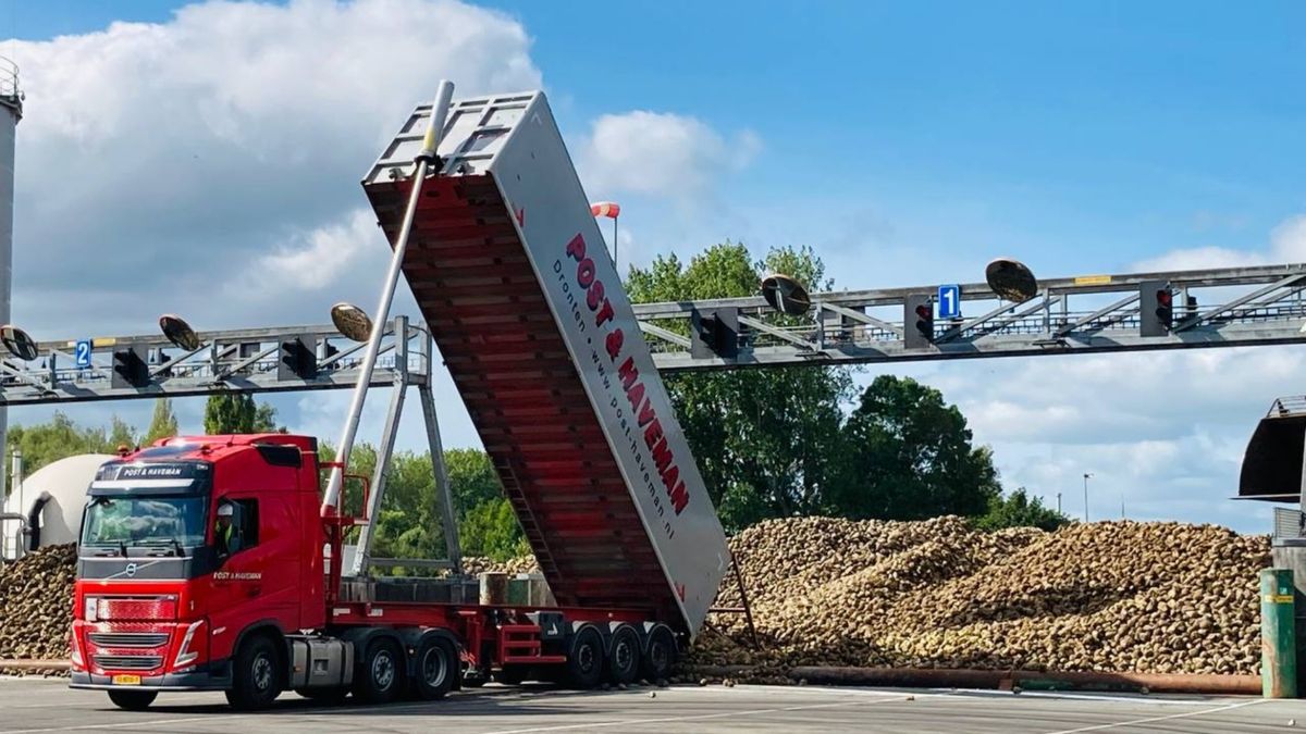 Bietencampagne van start: 'Vanochtend om zes uur zijn we de eerste ... Bietencampagne van start: 'Vanochtend om zes uur zijn we de eerste ...