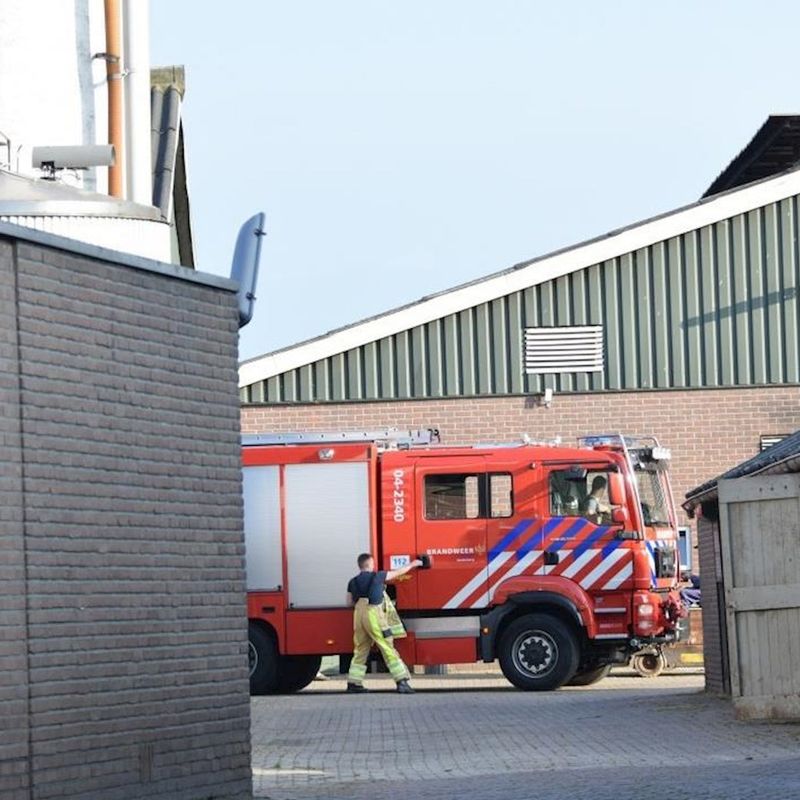 Brandweer redt koe uit mestkelder op boerderij in Rheezerveen - Oost