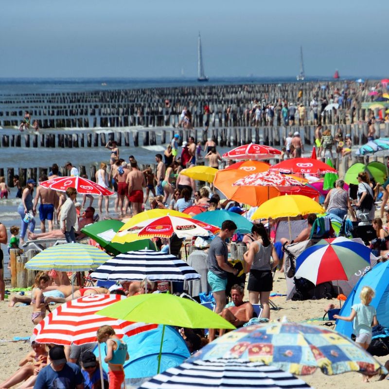 Warme zomer en dode vogels zorgden voor topdrukte voor strandwachten ...