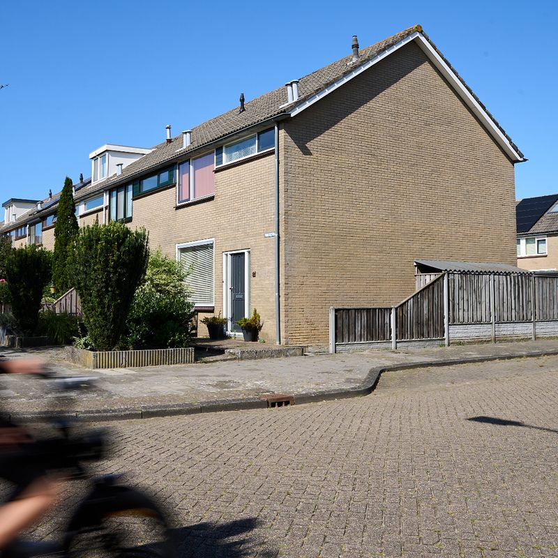 Verdachte (84) van mishandeling met hakbijl blijft vastzitten - Rijnmond