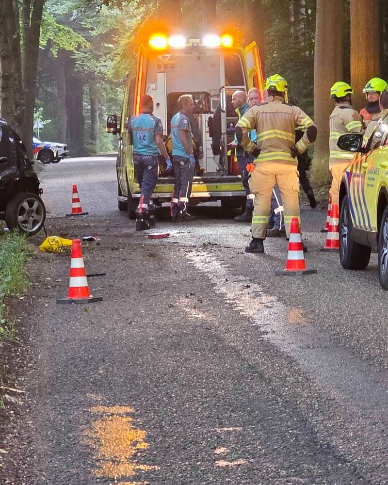 Bestuurder botst op boom en overlijdt - Omroep Gelderland