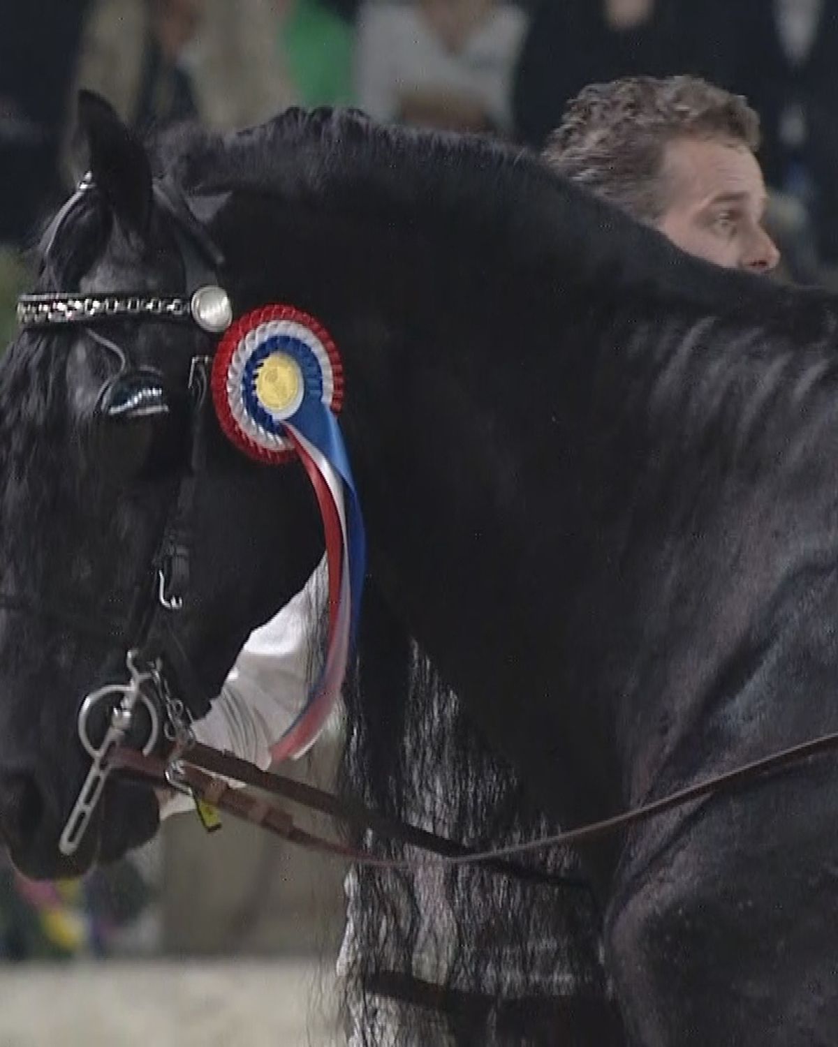 VIDEO: Jasper 366 in het zonnetje gezet bij zijn laatste ...