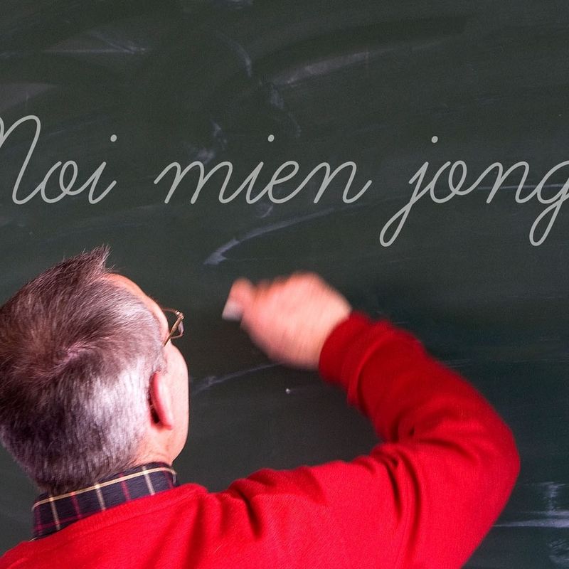 Onderzoek RUG: Gronings wordt per generatie voor de helft minder ...