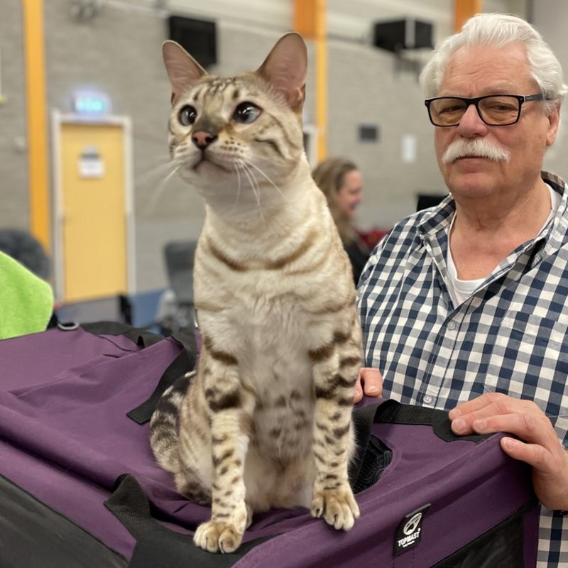 Sporthal vol katten die strijden om prijs: 'Twee uur gereden om hier te ...