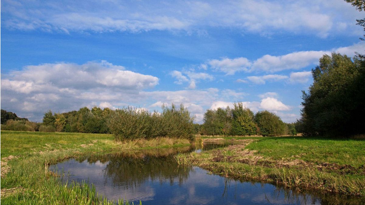 Op pad in de Drentse natuur: beekdal Oude Diep - RTV Drenthe