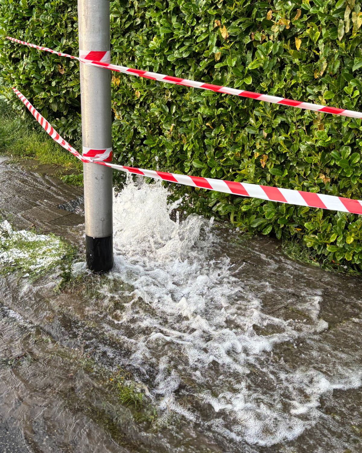 Lekkage in hoofdwaterleiding: water spuit omhoog, voorlopig niet ...