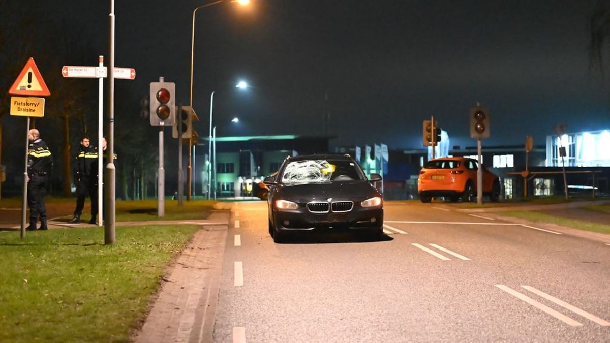 Hond dood na aanrijding, baasje naar ziekenhuis - Omroep Gelderland