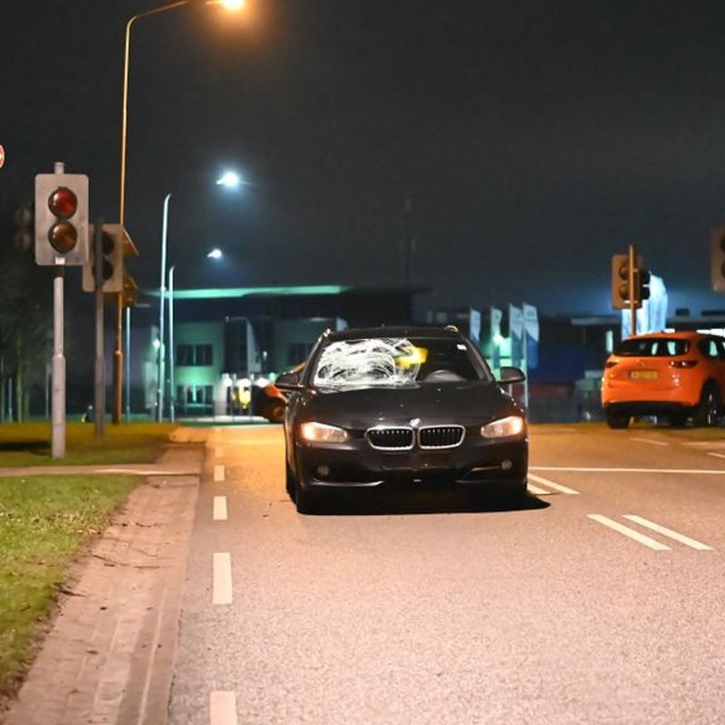 Hond dood na aanrijding, baasje naar ziekenhuis - Omroep Gelderland