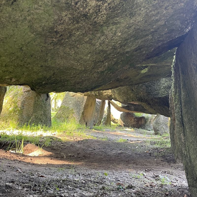 Hoe komt hunebed 'Duvelskut' aan zijn naam? - RTV Drenthe