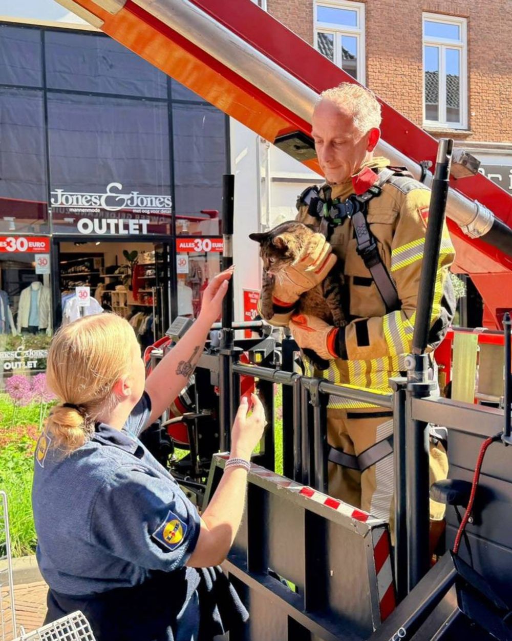 Brandweer redt kat • fietser aangereden - Omroep Gelderland