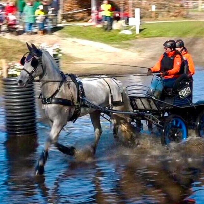 Paramenner Ingmar Veneman na zware schouderoperatie weer terug op ...