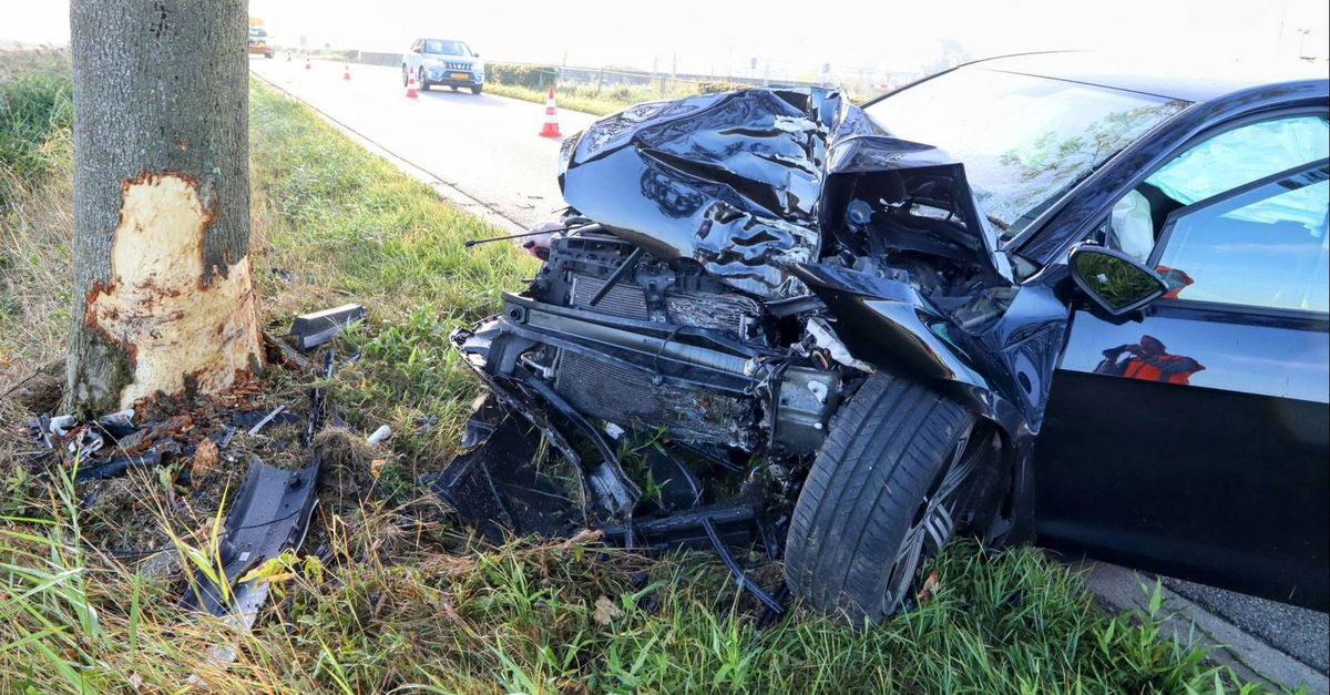 Auto botst frontaal op boom - Omroep Gelderland