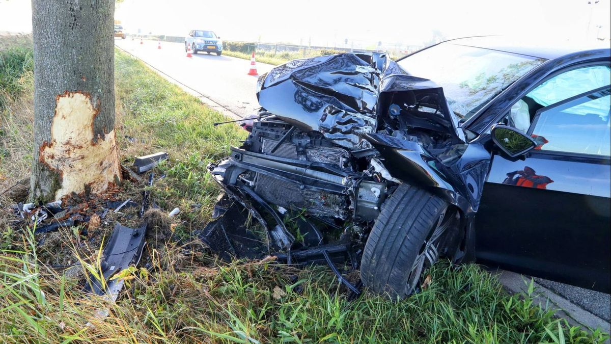 Auto botst frontaal op boom - Omroep Gelderland