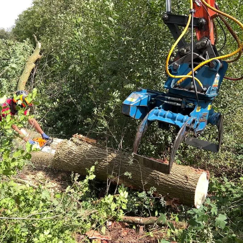 Storm van zaterdag was een valwind, bos nog afgesloten - RTV Utrecht