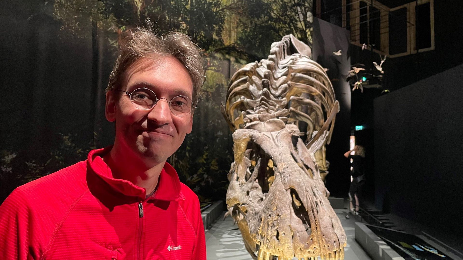 Skelet van T. rex wordt als puzzel in elkaar gezet in Natuurmuseum in ...