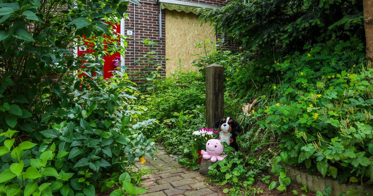 Moeder Vlaardings pleegmeisje doet oproep: 'Luister gewoon naar een kind' - Rijnmond