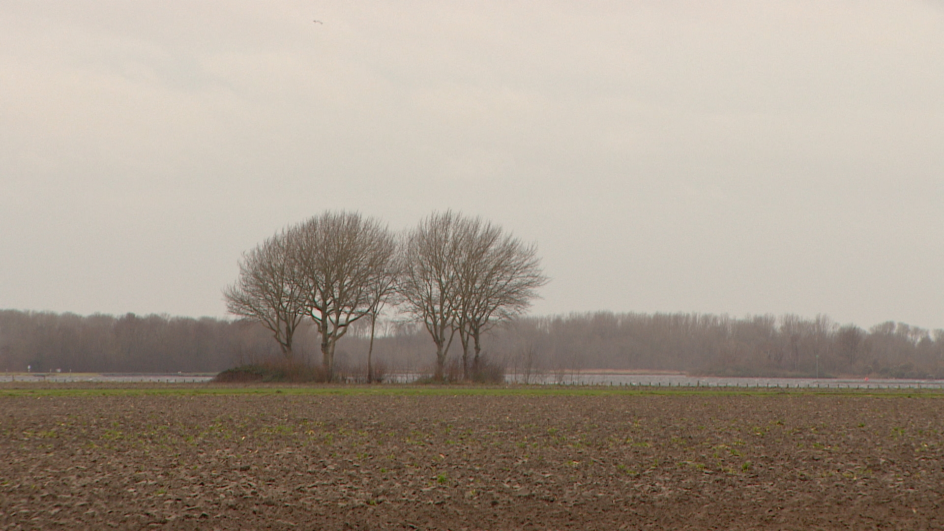 Plannen voor de uitbreiding van Waterpark Veerse Meer liggen al ruim ...