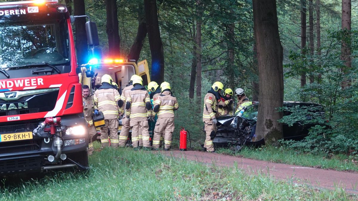 Automobilist raakt van de weg en knalt frontaal op boom - Omroep Gelderland