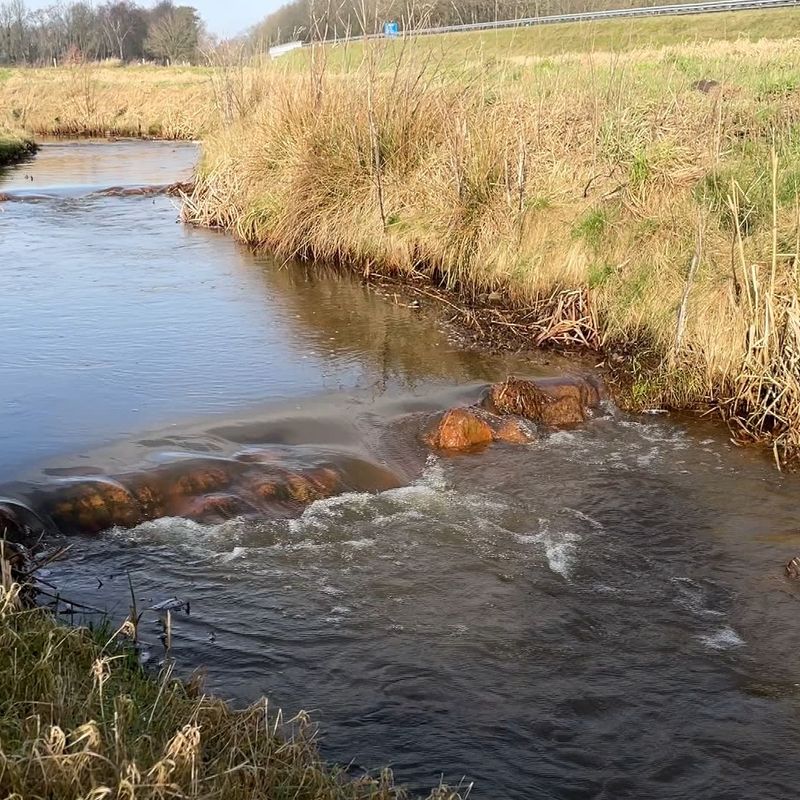 Het Drentse Landschap: 'We moeten in Drenthe het water vasthouden ...